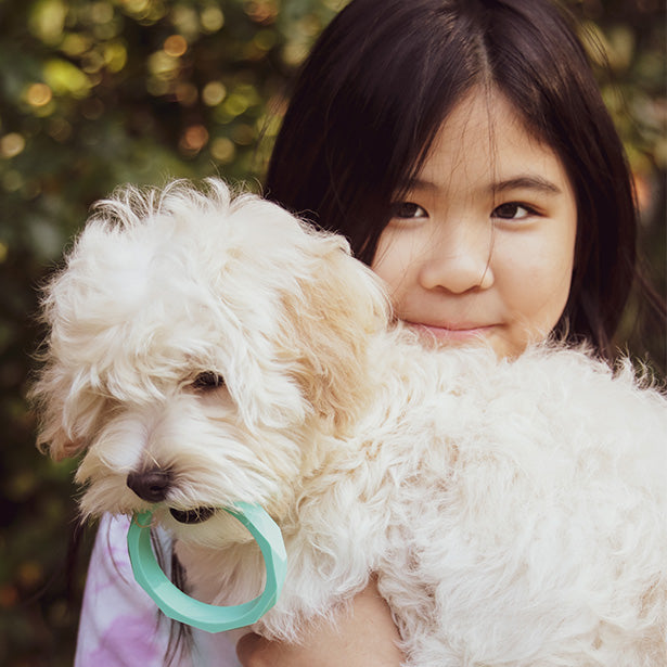 Sweet Paws Wearable Puppy Teether