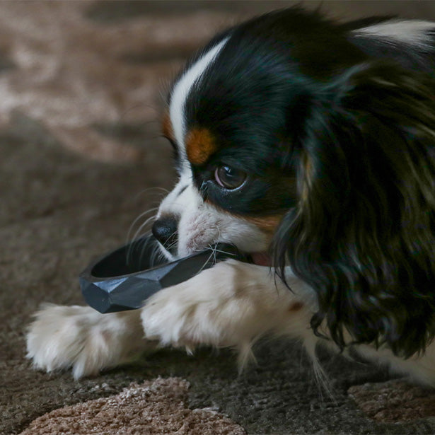 Sweet Paws Wearable Puppy Teether