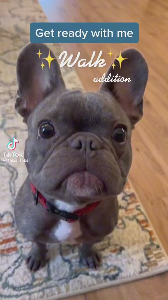 Sweet Paws Wearable Puppy Teether